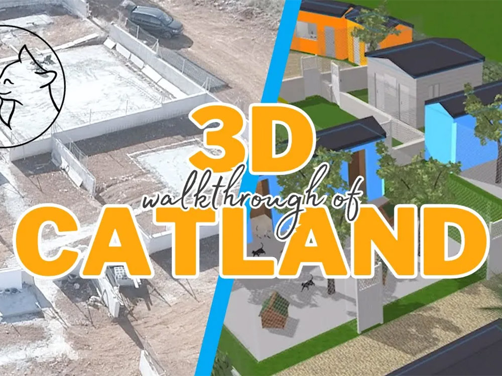 3D Walkthrough of Catland Javea - Catland Javea